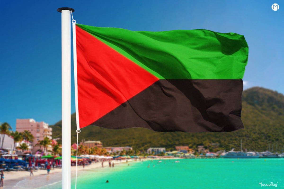 La Martinique voit s'effondrer quatre siècles de politique coloniale ...